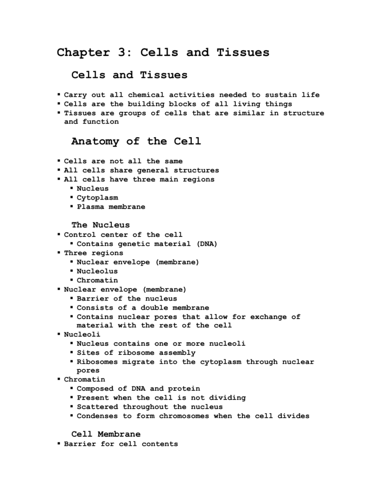 Anatomy And Physiology Chapter 3 Cells Worksheet Answers | Anatomy ...