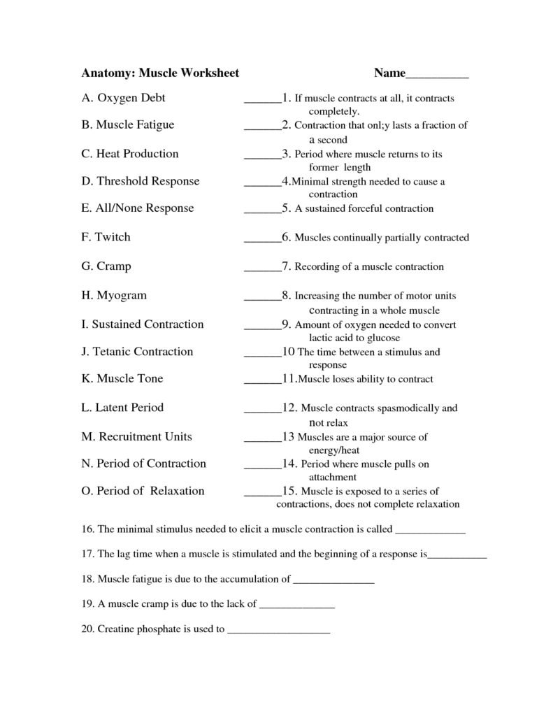 Medical Anatomy And Physiology Review Worksheet | Anatomy Worksheets