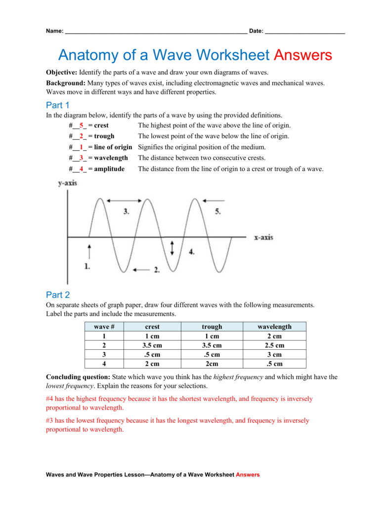 Anatomy Of A Wave Worksheet Answer Key Anatomy Worksheets