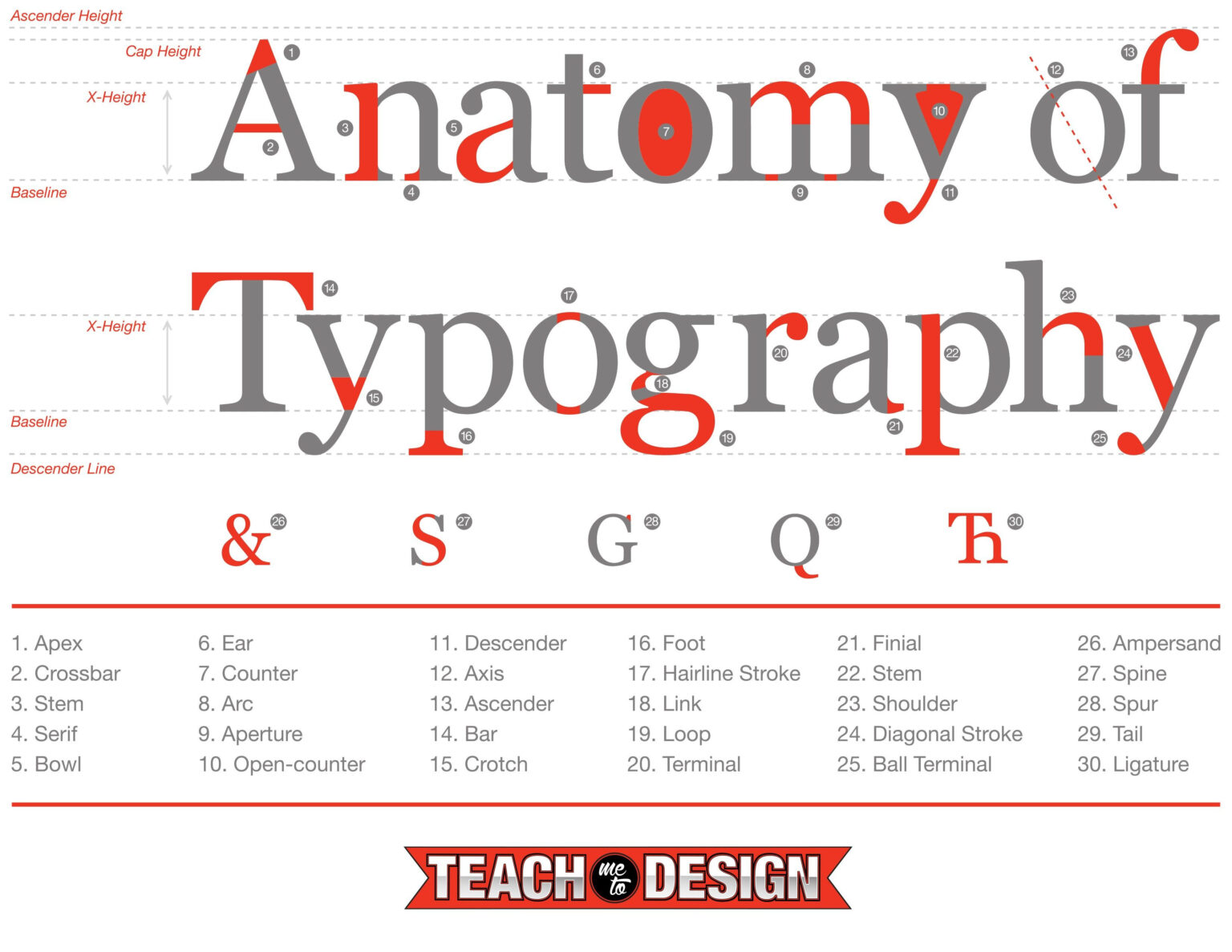 Anatomy Of Typography Anatomy Of Typography Graphic Design Lessons