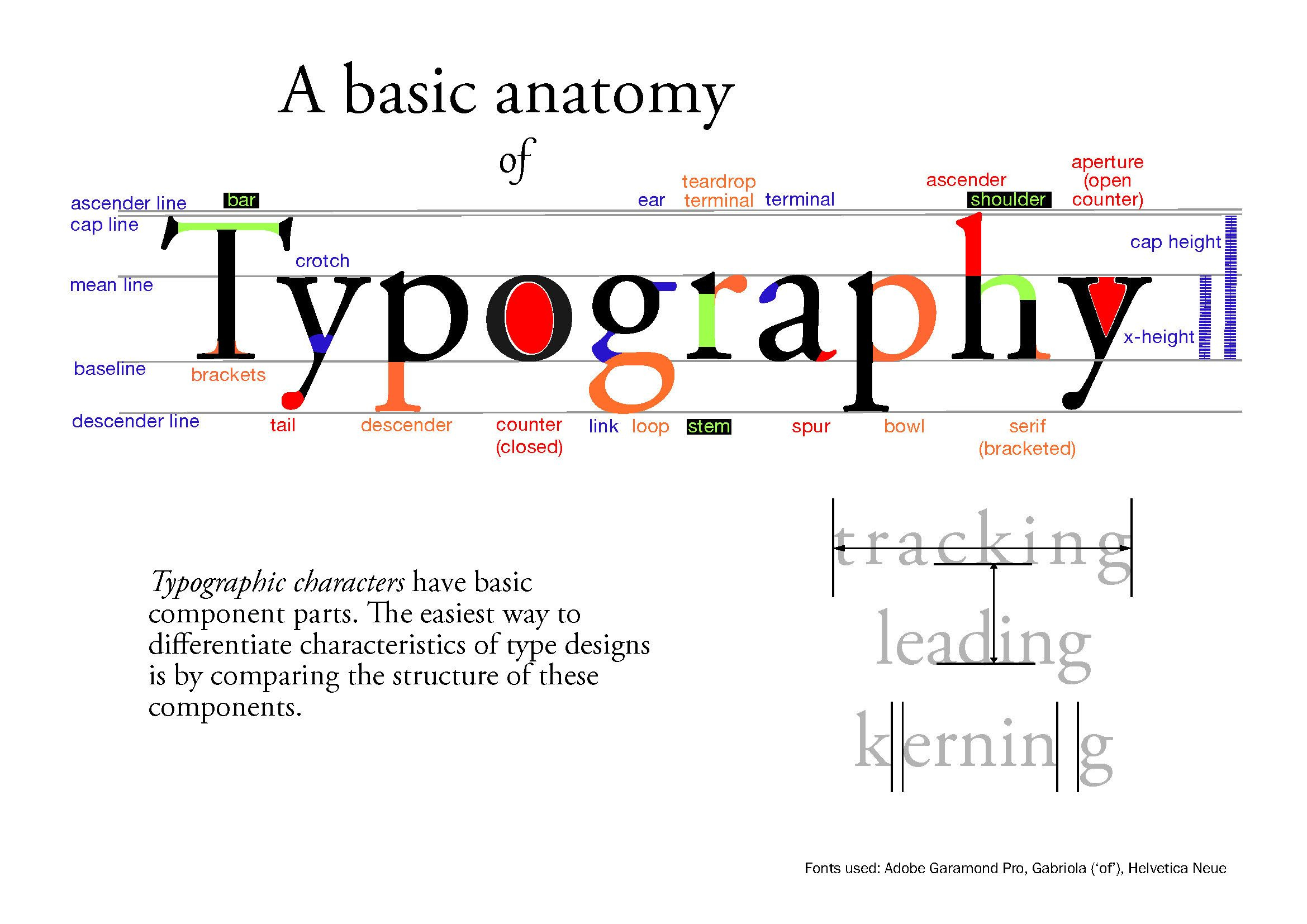Anatomy Of Typography Worksheet Anatomy Worksheets