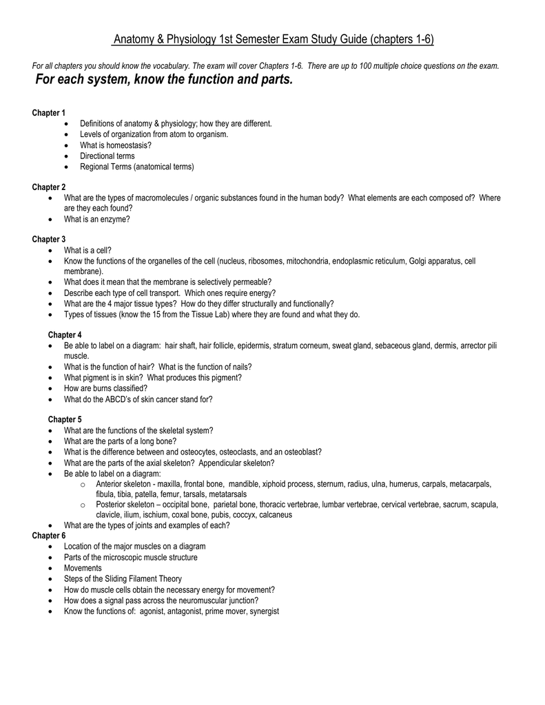 Anatomy And Physiology Printable Study Guide Anatomy Worksheets Anatomy And Physiology Printable Study Guide Anatomy Worksheets