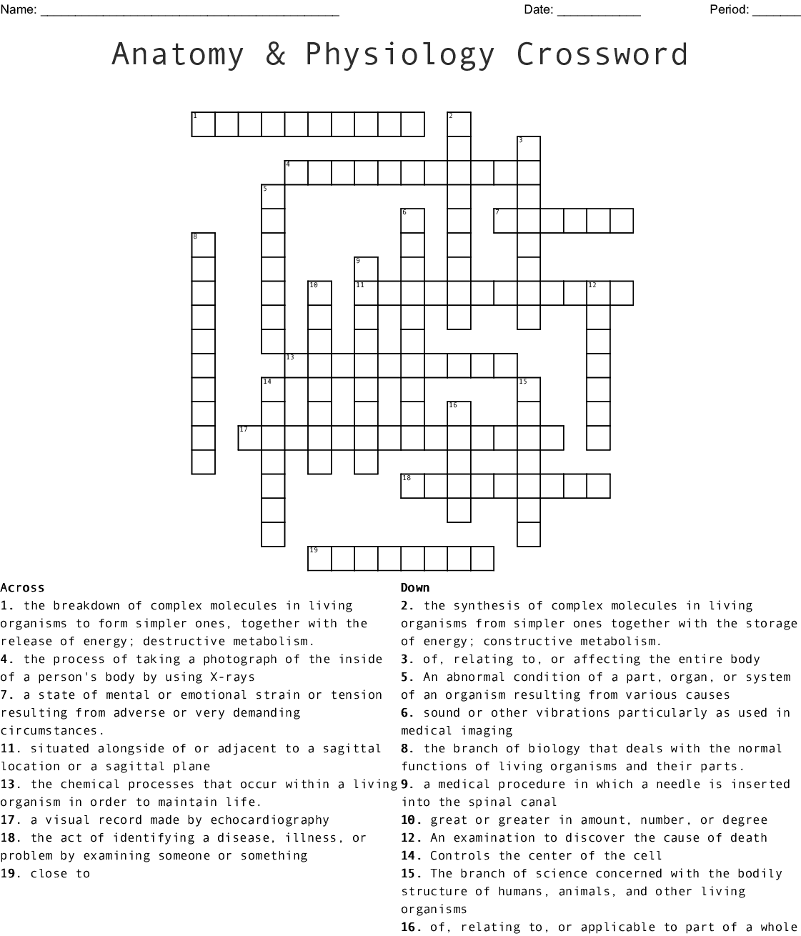 Anatomy And Physiology Crossword Printable Anatomy Worksheets Anatomy And Physiology Crossword Printable Anatomy Worksheets