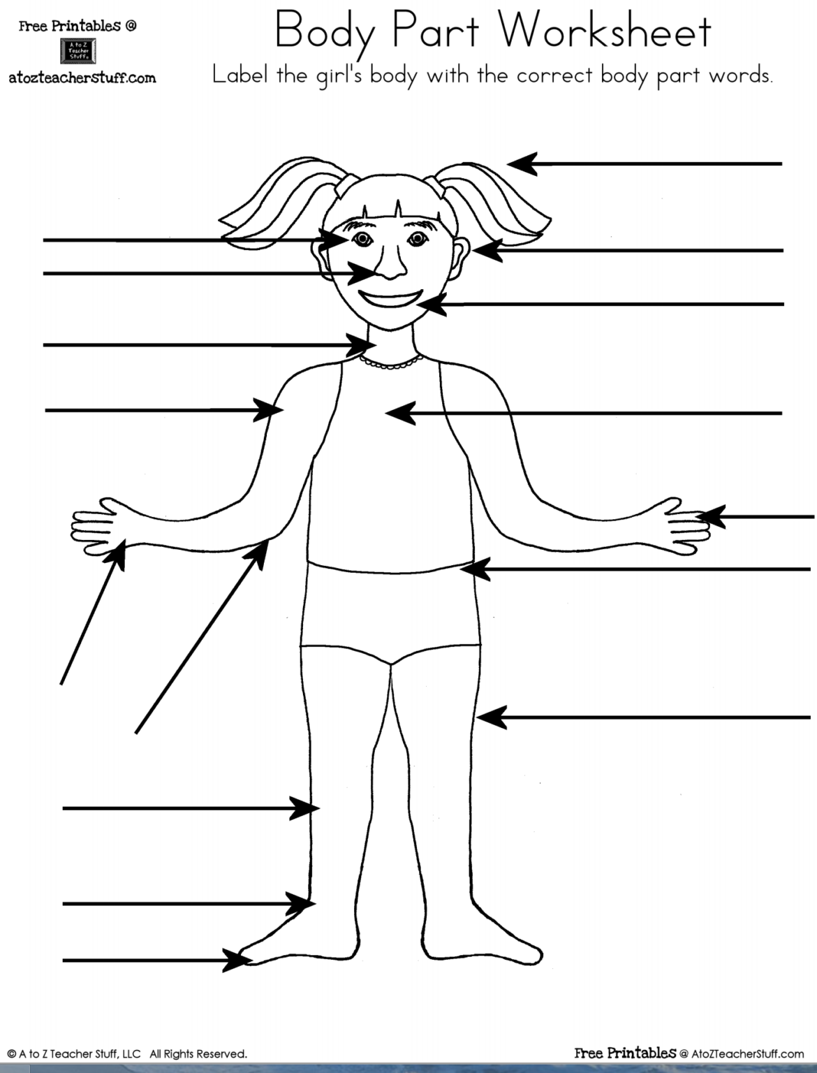 Body Part Labeling Worksheet | Anatomy Worksheets