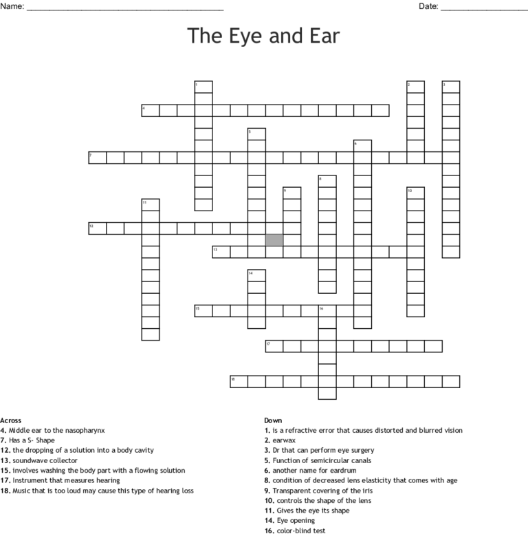 Eye And Ear Anatomy Worksheet Answers | Anatomy Worksheets