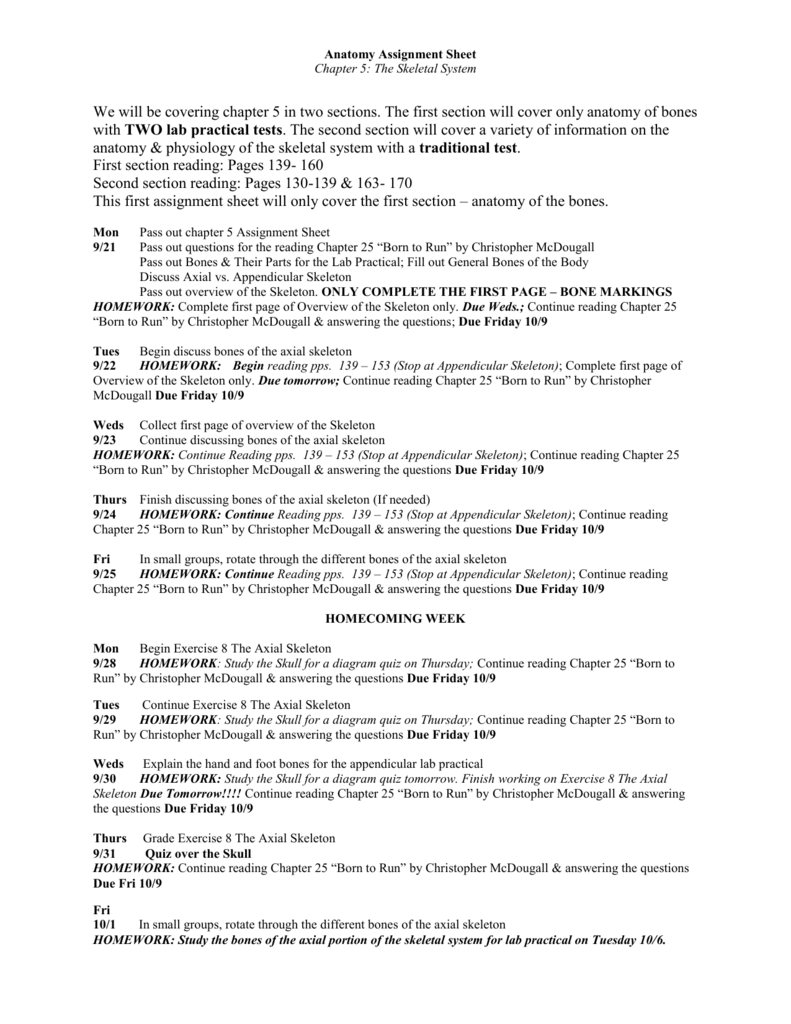 Introduction To Anatomy And Physiology Worksheet Answers Chapter 5 