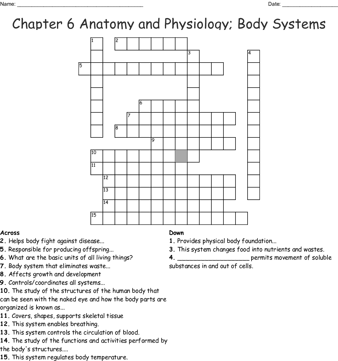 Anatomy And Physiology Chapter 6 Worksheet Answers Anatomy Worksheets