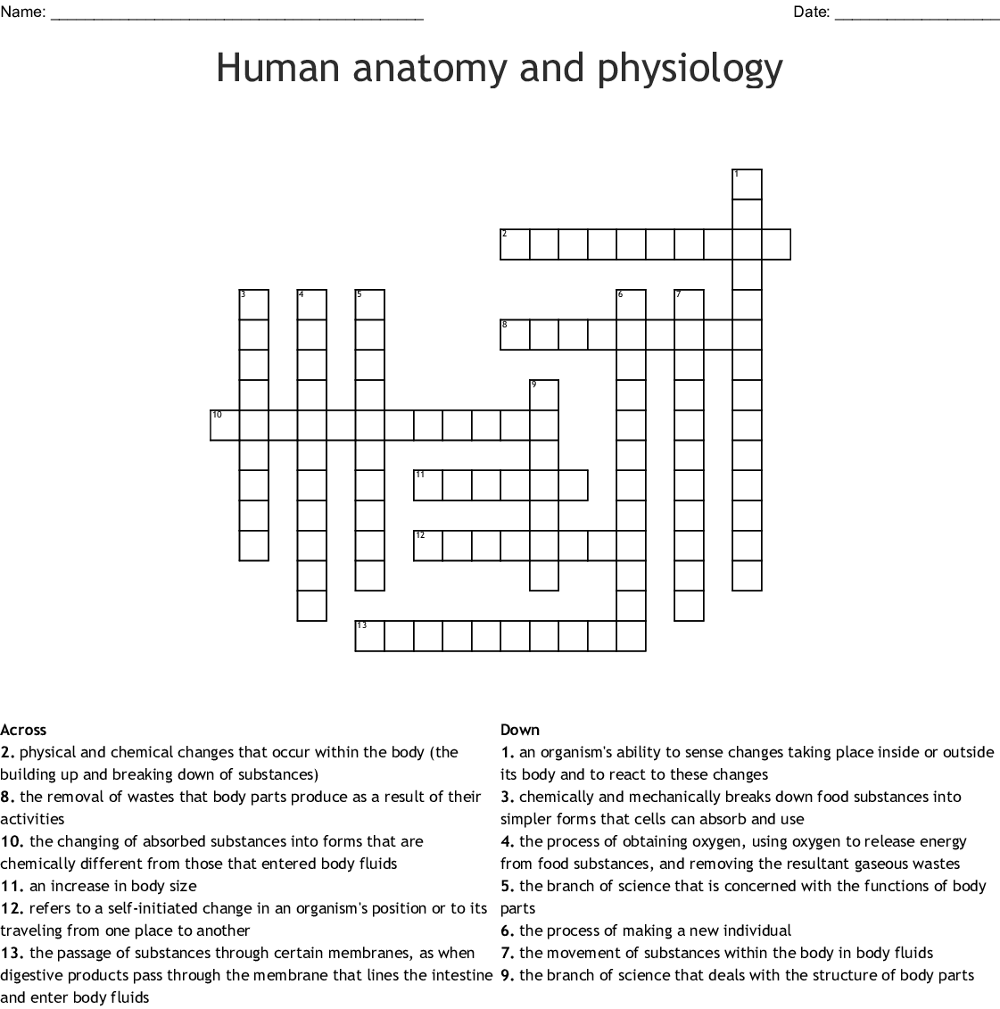Anatomy And Physiology Crossword Printable Anatomy Worksheets