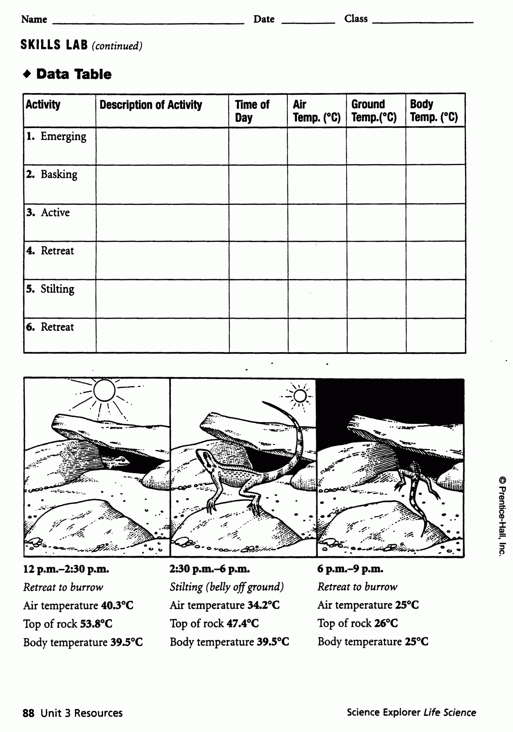 The Anatomy Of A Muscle Worksheet Answers Anatomy Worksheets