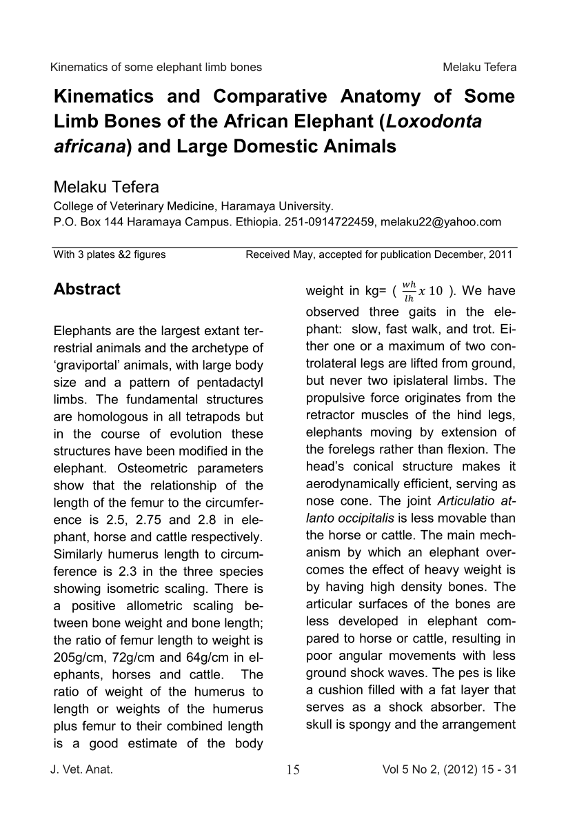 Comparative Anatomy Of The Domestic Chicken Worksheet Answers Anatomy 