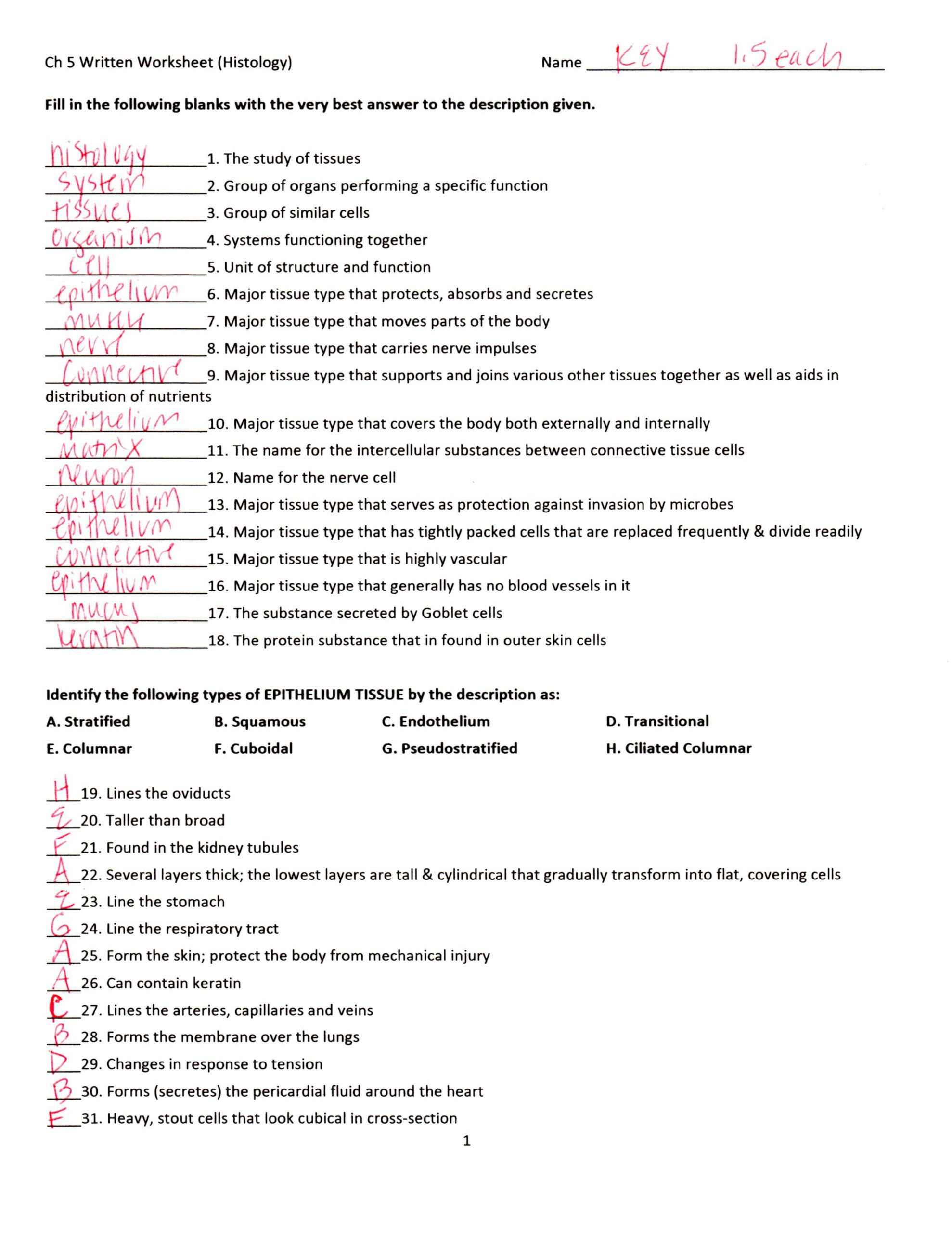 Anatomy And Physiology Chapter 10 Blood Anatomy Worksheets