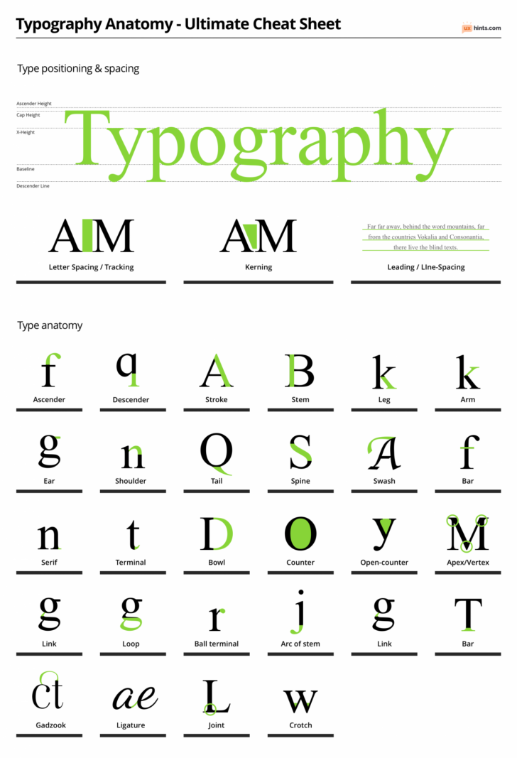 Typography Anatomy UX Hints Anatomy Worksheets