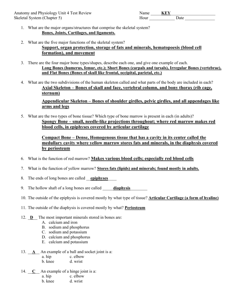 Anatomy And Physiology Chapter 4 Worksheet Answers Anatomy Worksheets Anatomy And Physiology Chapter 4 Worksheet Answers Anatomy Worksheets