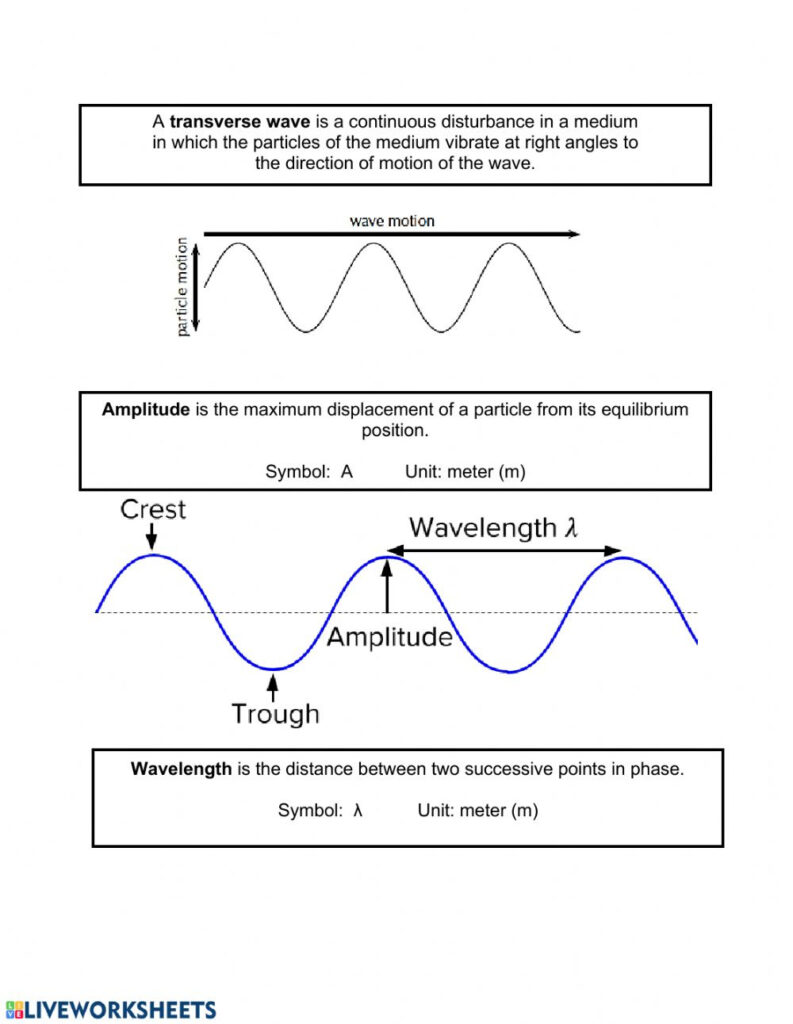 Waves 2 Transverse Waves Worksheet | Anatomy Worksheets