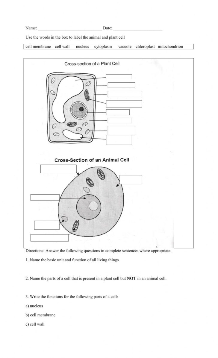 Parts Of A Cell Worksheet Worksheet Vrogue co